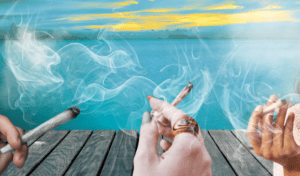 Cannabis Control Commission Drops Public Update On Social Consumption ...